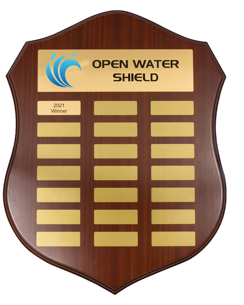 Perpetual Classic Shield – 3D Crystal TAG